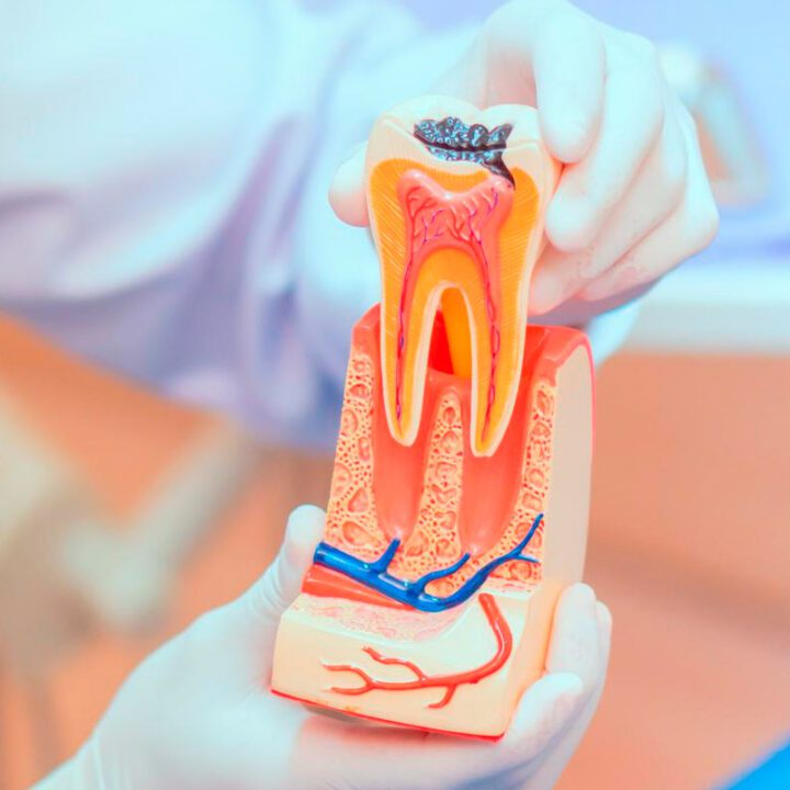 Dentist in Ormond Beach - New Roots Dentistry